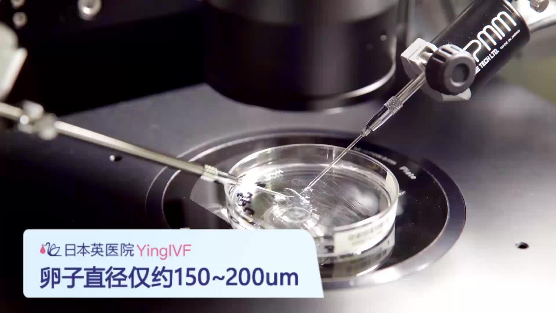 日本二代试管新科技 ，Piezo-ICSI强势助攻精卵结合 | 英科技 - 知乎