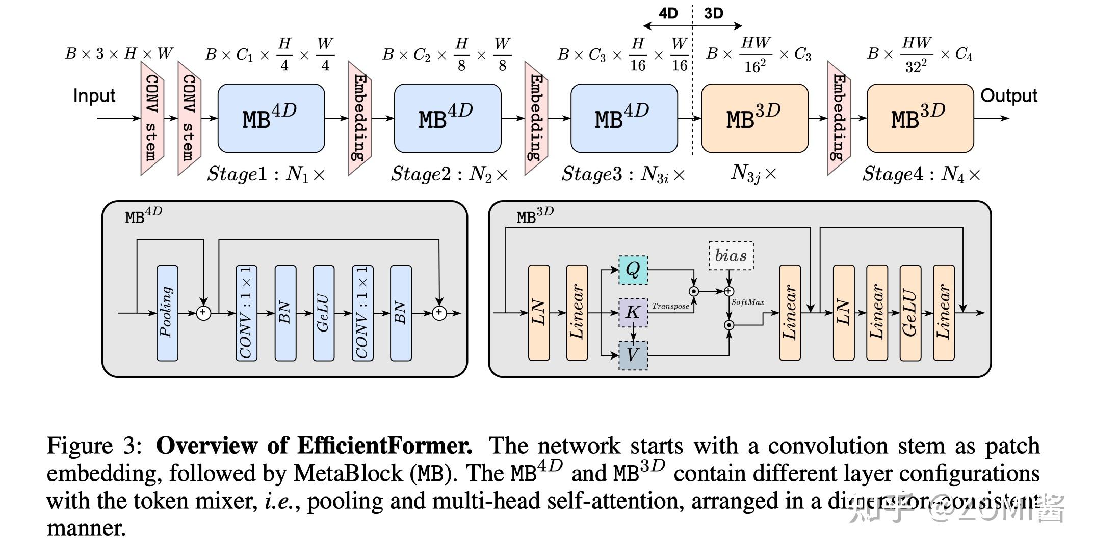 EfficientFormer：轻量化ViT Backbone - 知乎