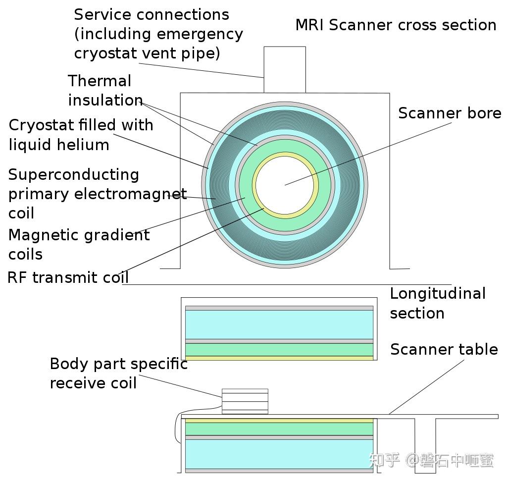 磁共振成像 Magnetic resonance imaging - 知乎