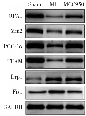 WB图像分析出来新神器—赶紧收藏！ - 知乎