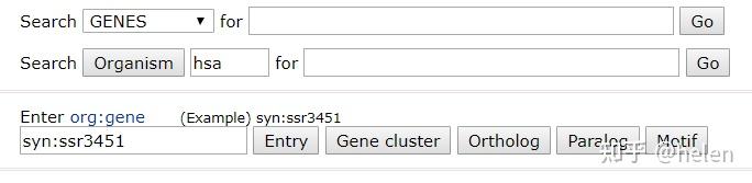 保姆级KEGG数据库教程！医学人如何入门KEGG？信号通路分析必学功能有哪些？不需要掌握的有哪些？