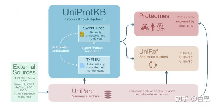 一文读懂 UniProt 数据库（2025最新版） - 知乎