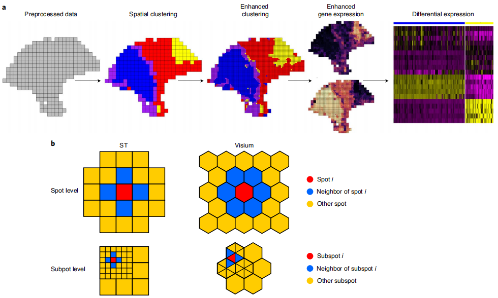 空间转录组专题｜一文带你了解空间转录组数据的标准分析内容（一） - 知乎