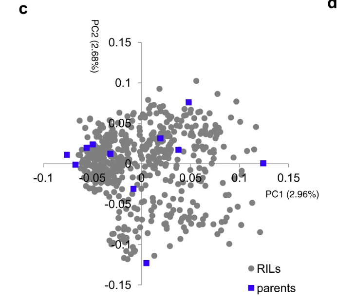 SMARTPCA计算PCA - 知乎
