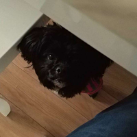 如何设计task specific的3D U-Net结构:nnUNet中结构设计策略整理 - 知乎