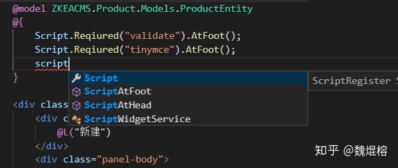 Visual Studio Code支持Razor智能提示 - 知乎
