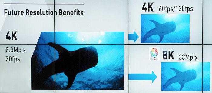 索尼：M43玩8K属于越级挑战 - 知乎