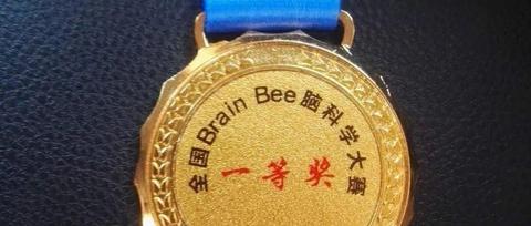 2023年brainbee全国赛冲刺 - 知乎