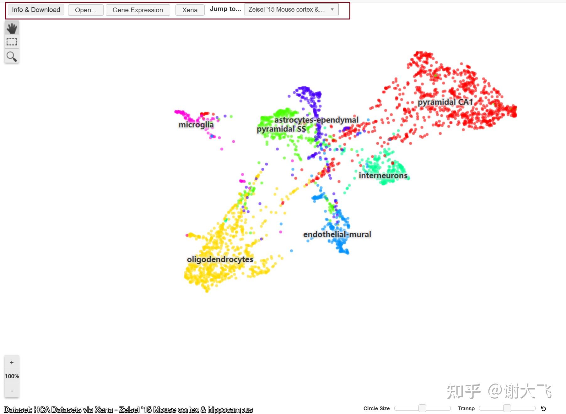 UCSC Cell Browser使用初探 - 知乎