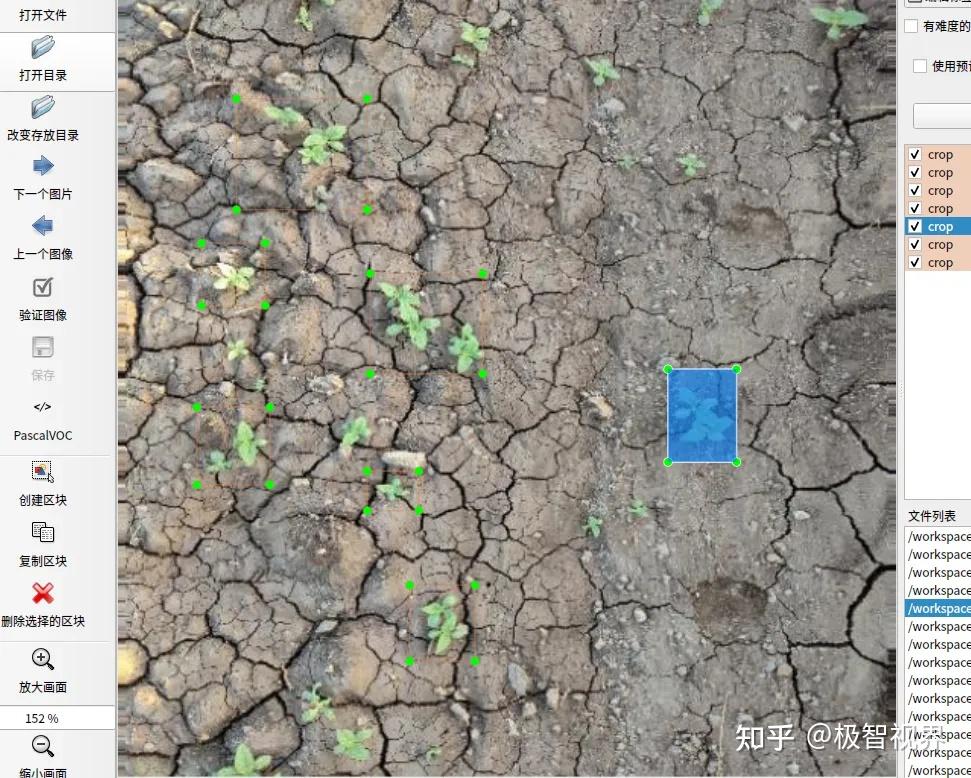 目标检测数据集 - 农作物和杂草检测数据集下载「包含VOC、COCO、YOLO三种格式」 - 知乎
