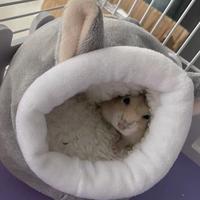 Efficient and scalable reinforcement learning for large-scale network control - 知乎