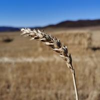 SAP那些事-技巧篇-14-VKOA配置中的条件类型KOFI、KOFK的区别 - 知乎