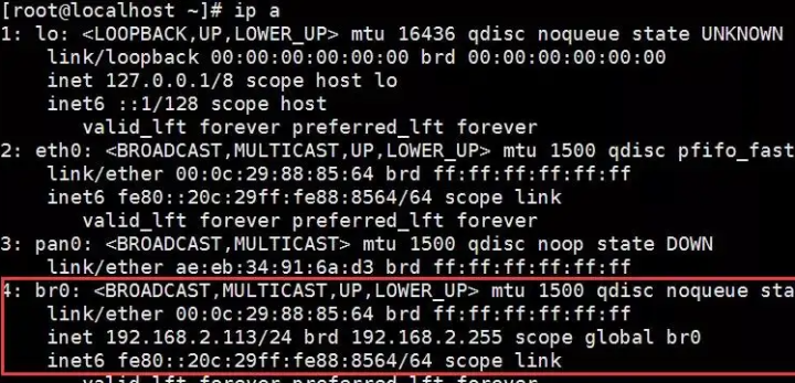 图解并茂|Linux中常用的虚拟网卡 - 知乎