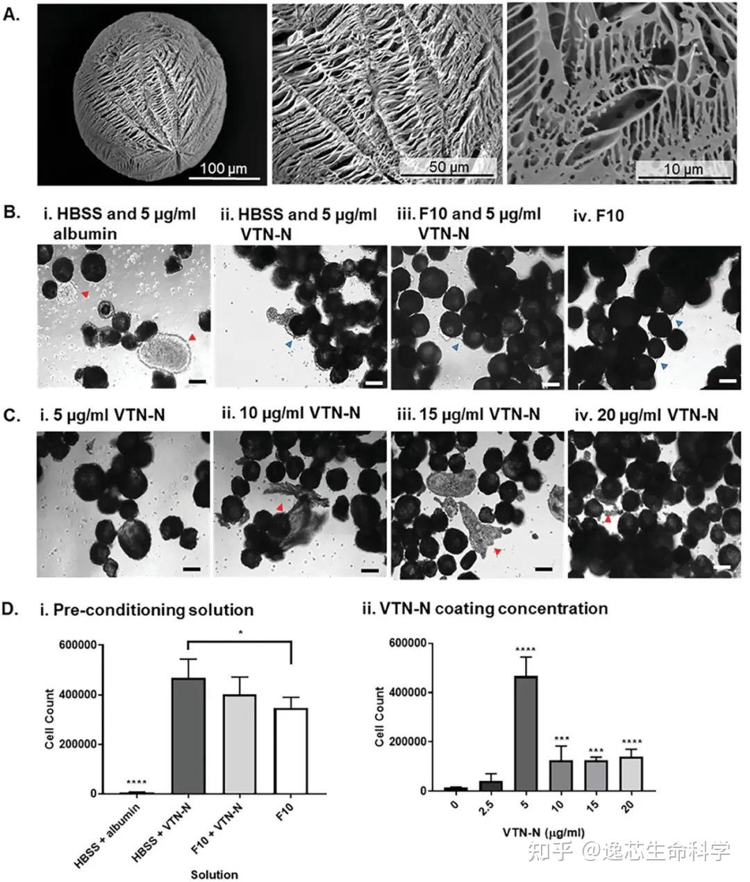 《Adv. Sci.》| 用于iPSC扩增和心肌细胞分化的可注射微载体 - 知乎