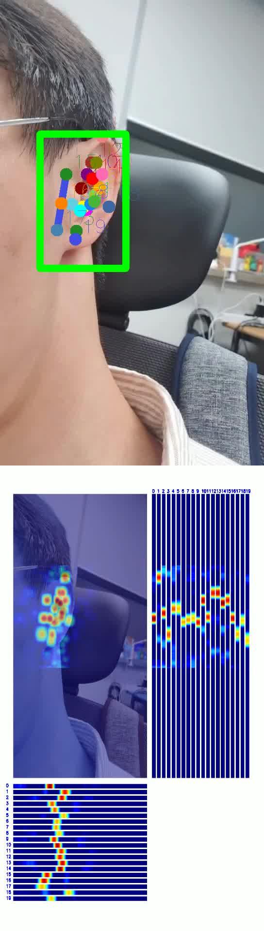 MMPose实战--基于耳朵穴位数据集【OpenMMLab AI实战营第二期Day3+作业1】 - 知乎