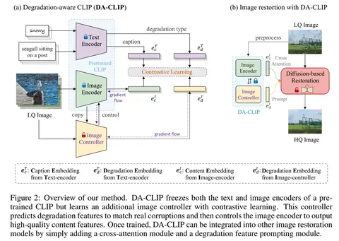 Cellpose 3.0 —— 一键图像恢复+细胞分割 - 知乎