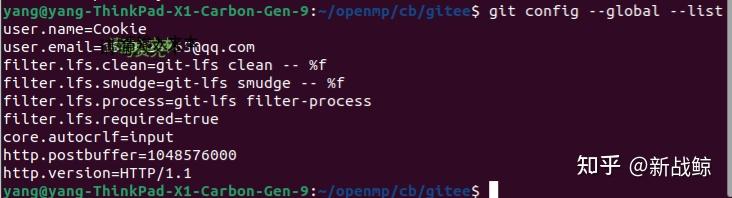 同时配置github, gitee - 知乎