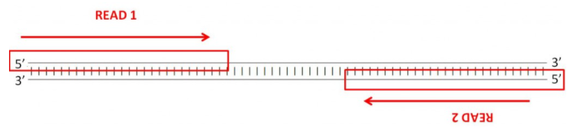 测序知识小结 - 知乎