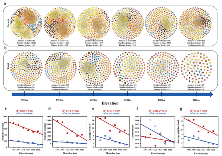 科研速递SBB| 共现网络复杂性在维持土壤微生物多样与生态系统多功能性关系方面的重要性 - 知乎