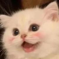 动手实现一个最小RAG——TinyRAG - 知乎