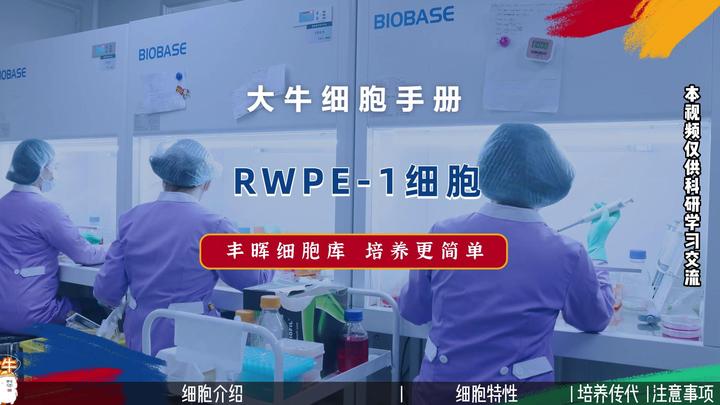 RWPE-1细胞培养，人前列腺正常细胞培养攻略 - 丰晖生物 - 知乎