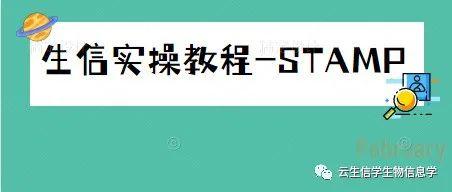 良心教程：手把手教会利用STAMP软件分析物种功能差异结果 - 知乎