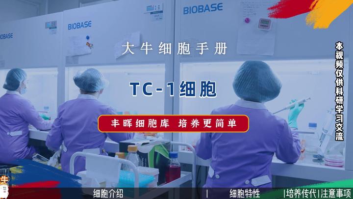TC-1细胞培养，小鼠肺上皮细胞培养攻略 - 丰晖生物 - 知乎