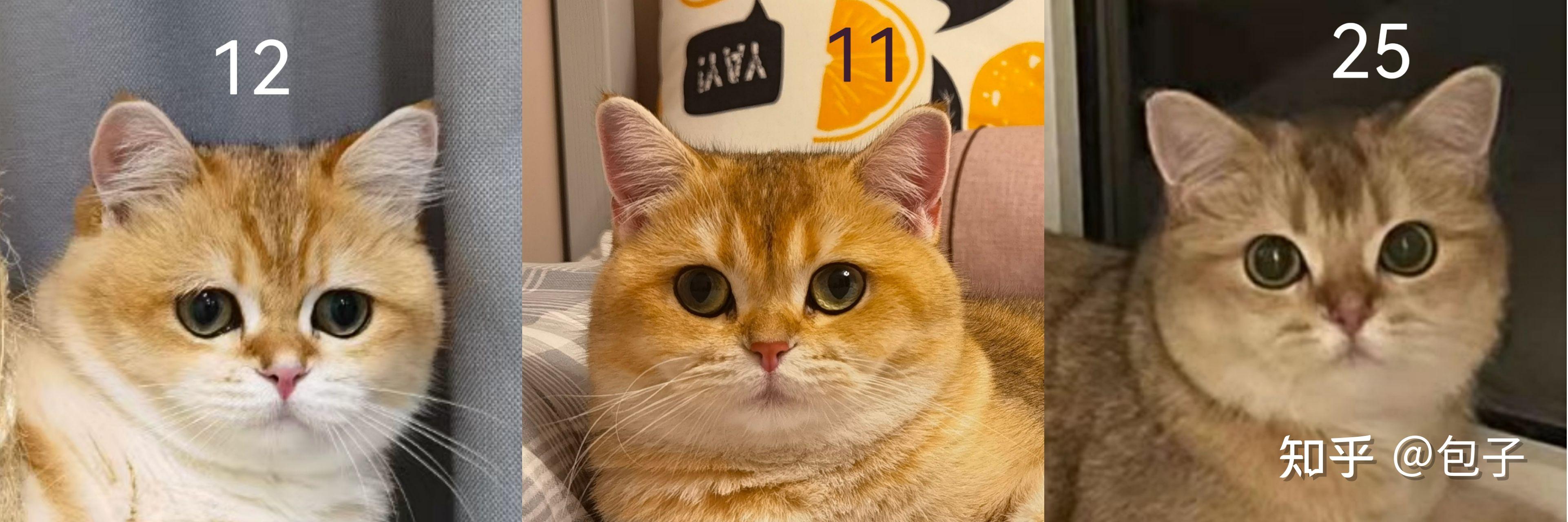 金渐层 | 一分钟教你学会看色号（ny11/ny12/ny25的含义及判断） - 知乎