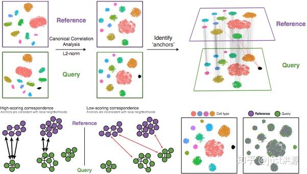 scRNA-seq——第六章 SCT和聚合方法 - 知乎