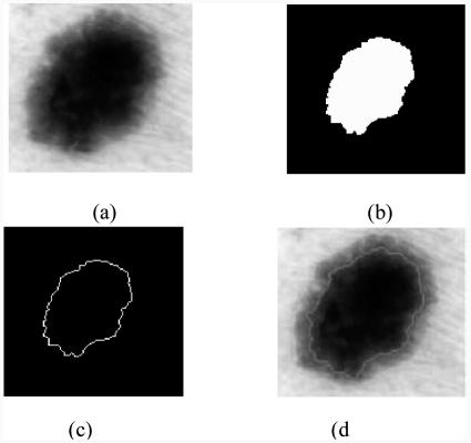 使用OpenCV对Segmentation Mask进行后期处理 - 知乎