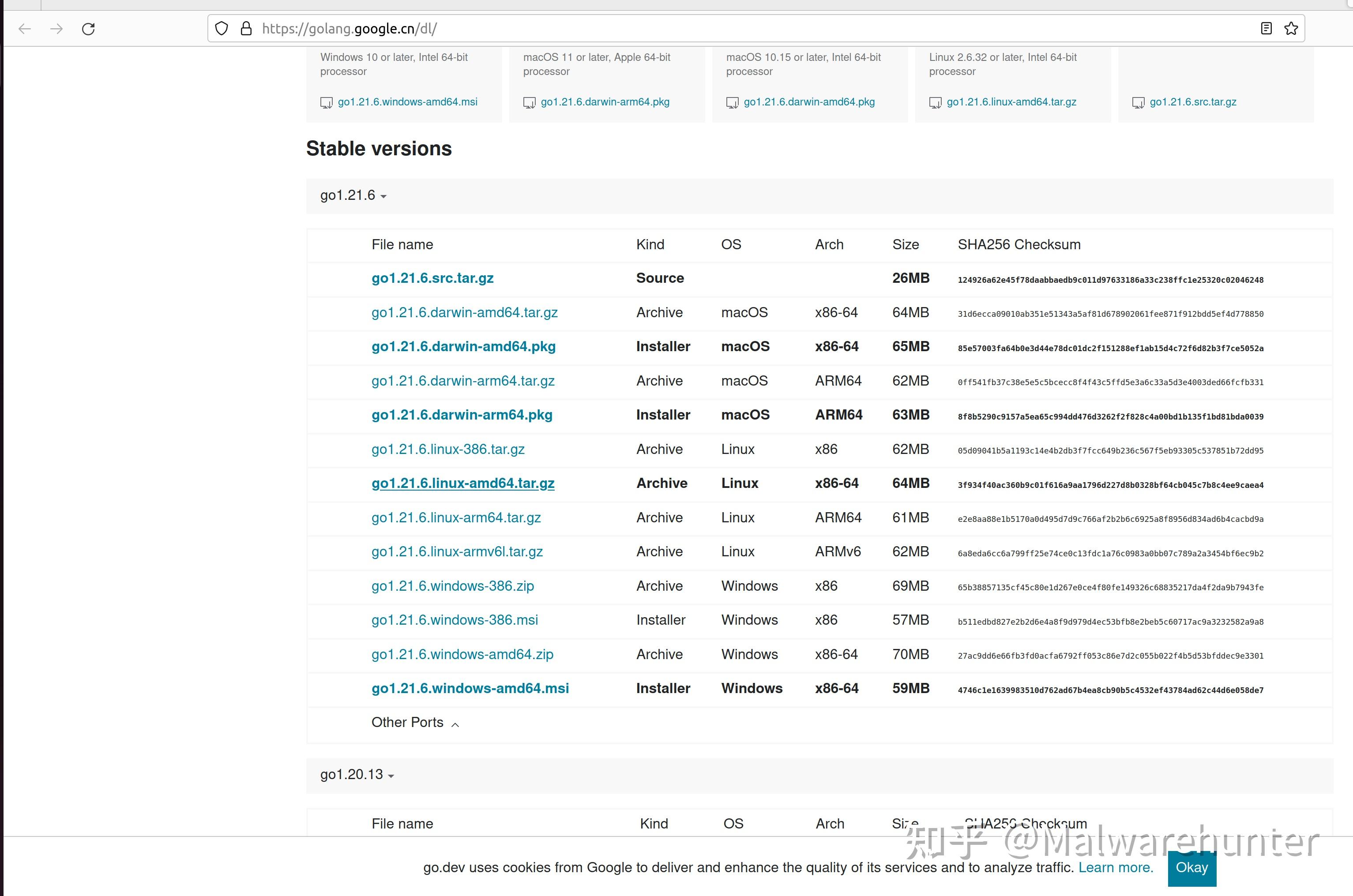 Nuclei的安装与使用 - 知乎