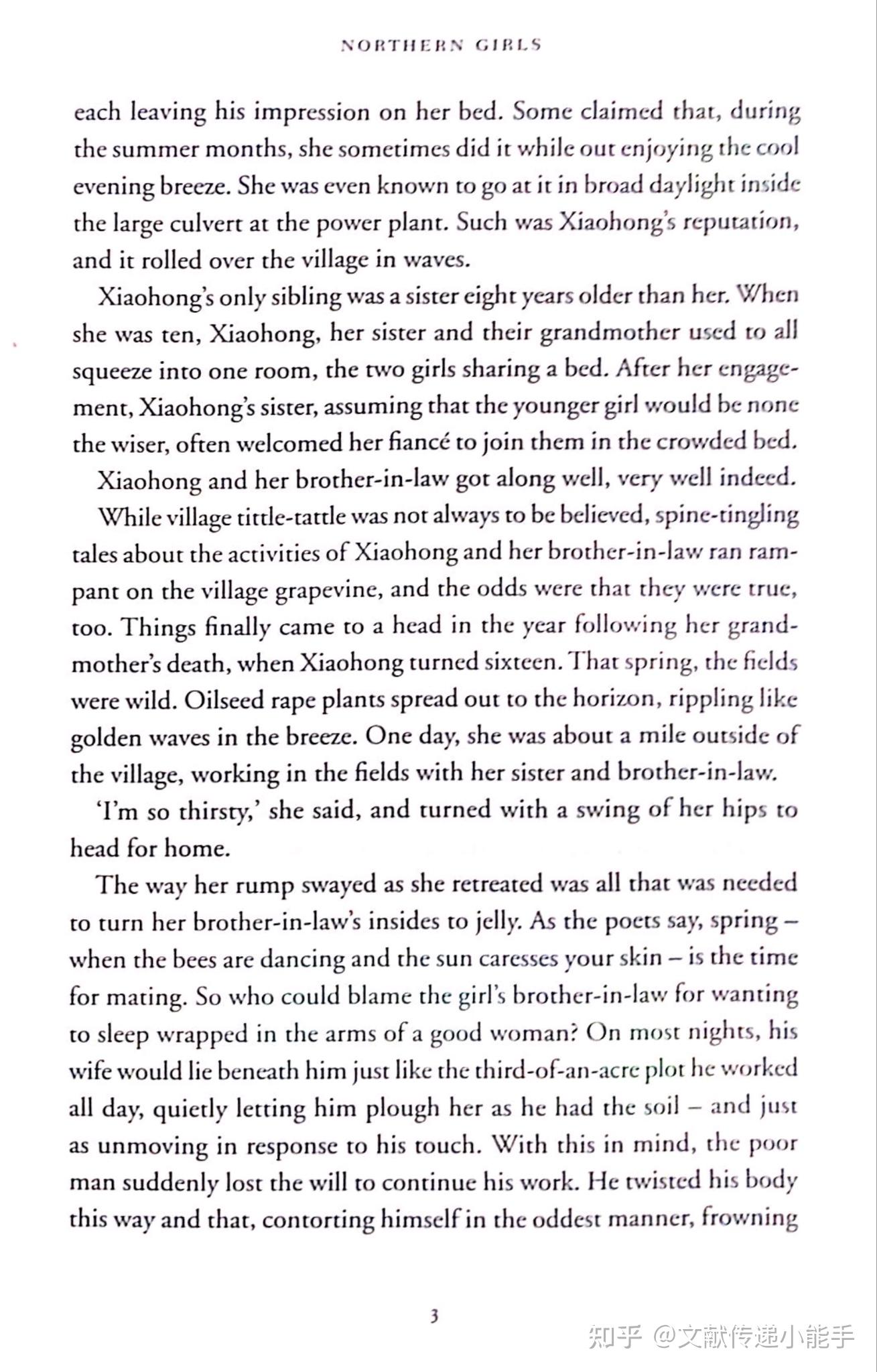 盛可以,北妹,英译本,英文版,Northern Girls: Life Goes On by Keyi Sheng trans by ...