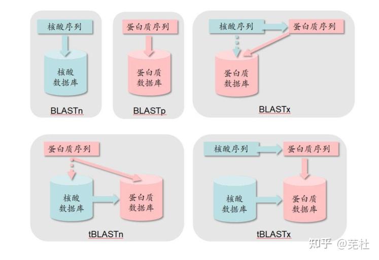 【学习记录】BLAST+简介、安装与使用 - 知乎