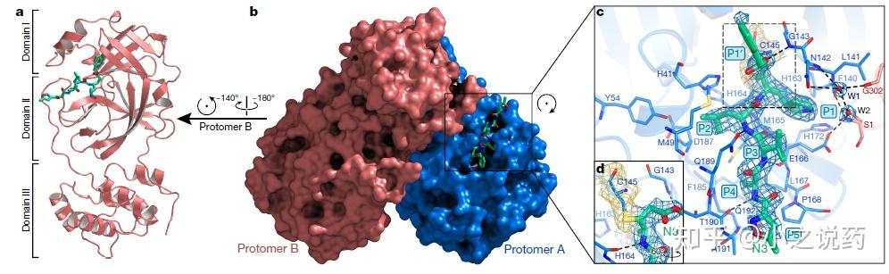 Paxlovid、莫诺拉韦、阿兹夫定、VV116、恩昔特韦、连花清瘟、清肺排毒，谁才是真正的新冠“特效药” - 知乎