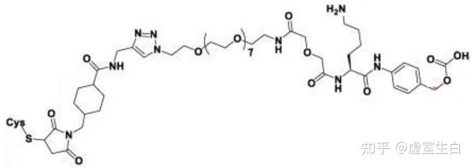 抗体偶联药物（ADC）系列（十） - 知乎