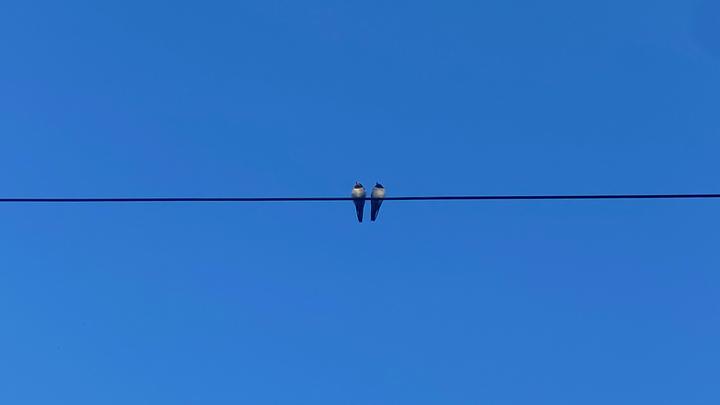 upon在英文合同中的多种用法 - 知乎