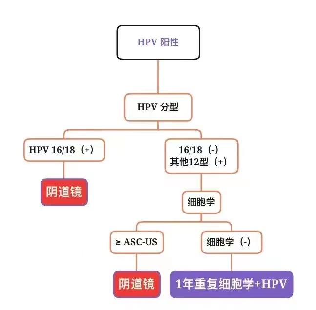 什么是宫颈癌? 知乎