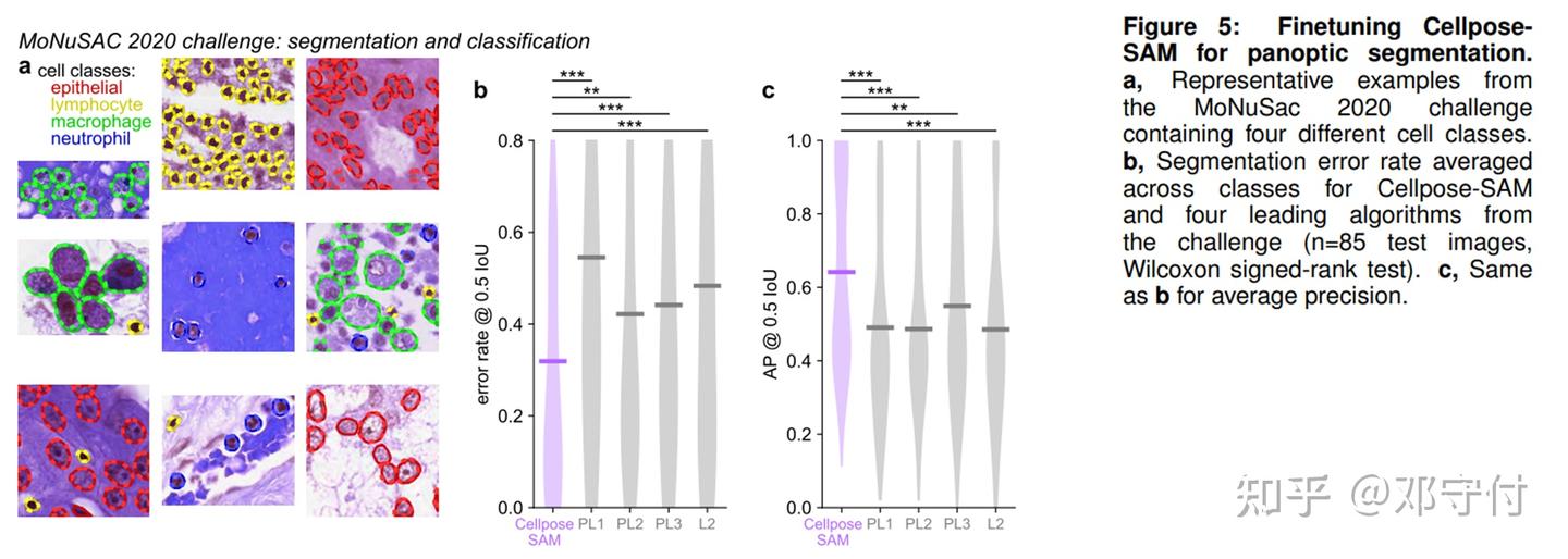Cellpose-SAM论文自读 - 知乎