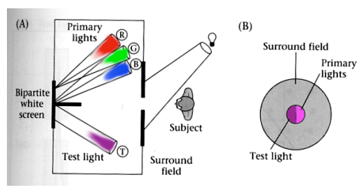 Lecture20 Light Field、Color and Perception【学习笔记】 - 知乎