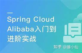 Spring Cloud Alibaba微服务从入门到进阶【完结】 - 知乎