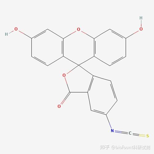 FITC；荧光素5-异硫氰酸酯 - 知乎