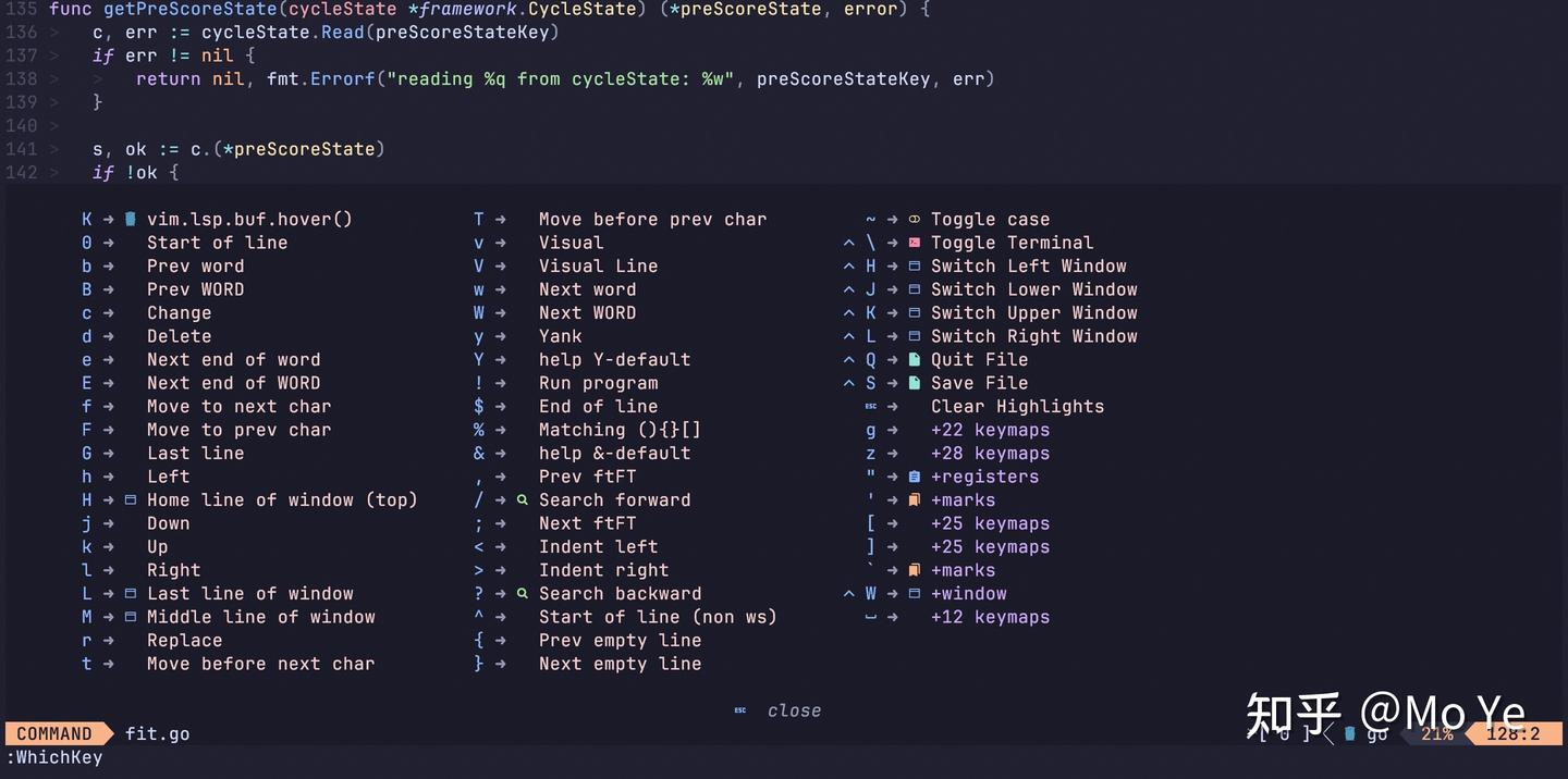 Golang Neovim配置 - 知乎