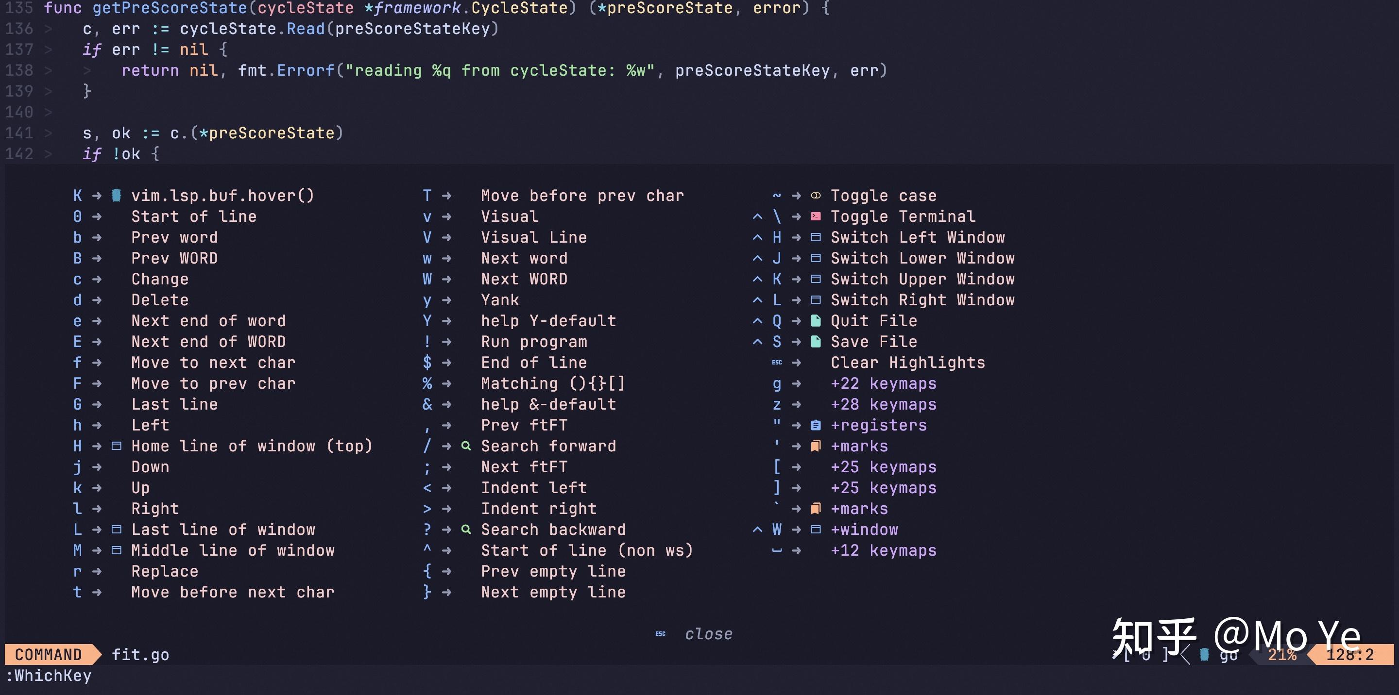 Golang Neovim配置 - 知乎