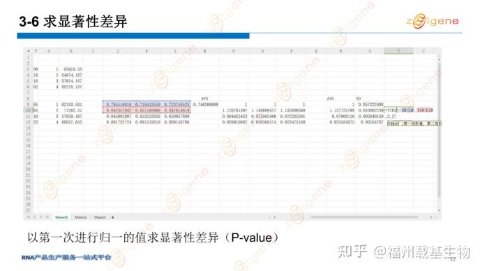 WB数据分析｜手把手教学｜western blot - 知乎