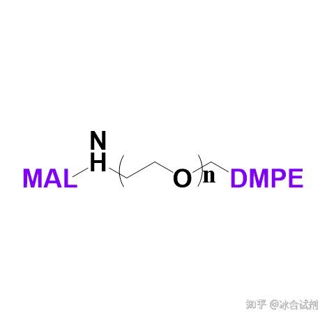 DMPE-PEG-MAL二肉豆蔻酰磷脂酰乙醇胺聚乙二醇马来酰亚胺 - 知乎