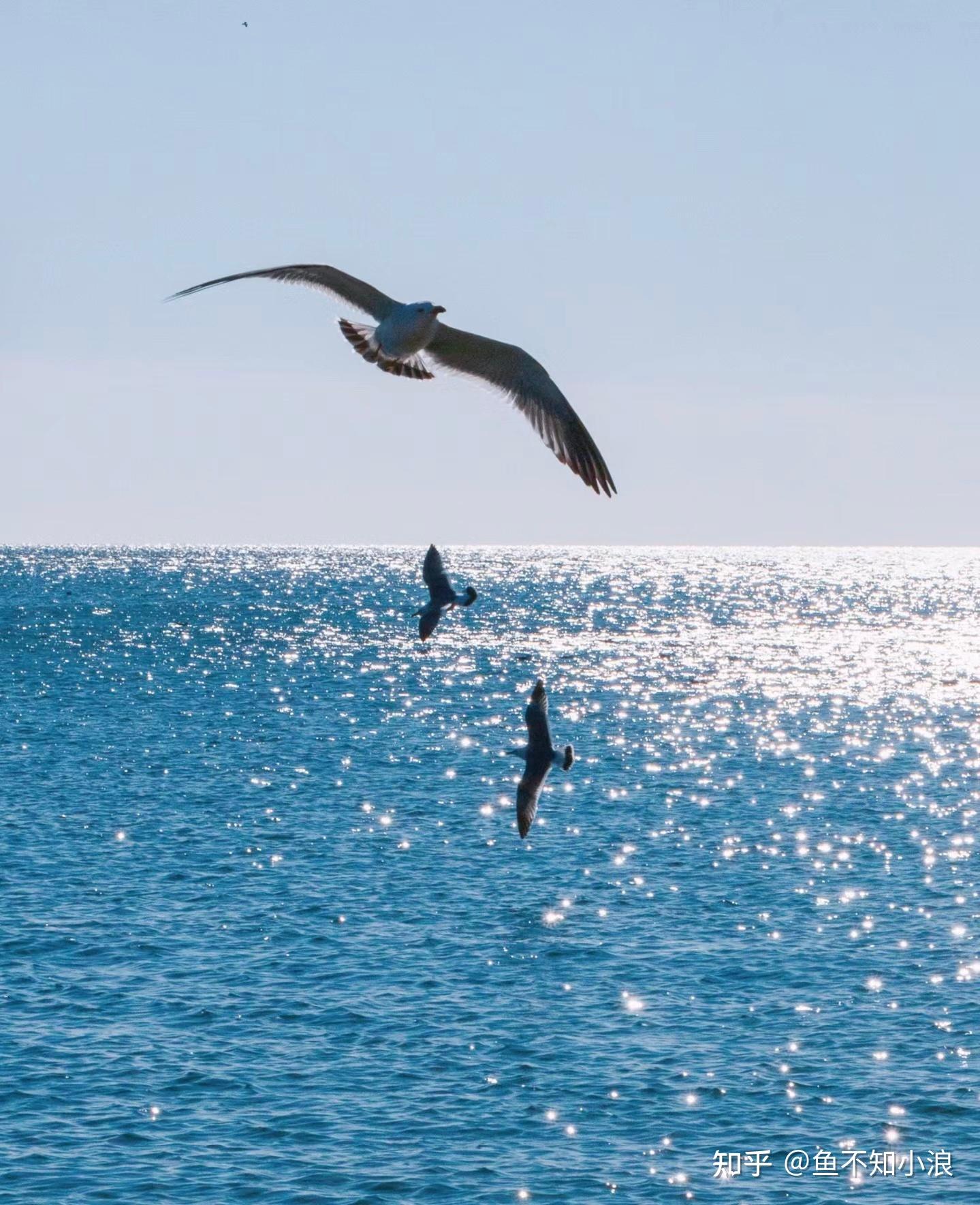 MBTI cp系列：光海组（ENTP-INFJ）——“致，新世界” - 知乎