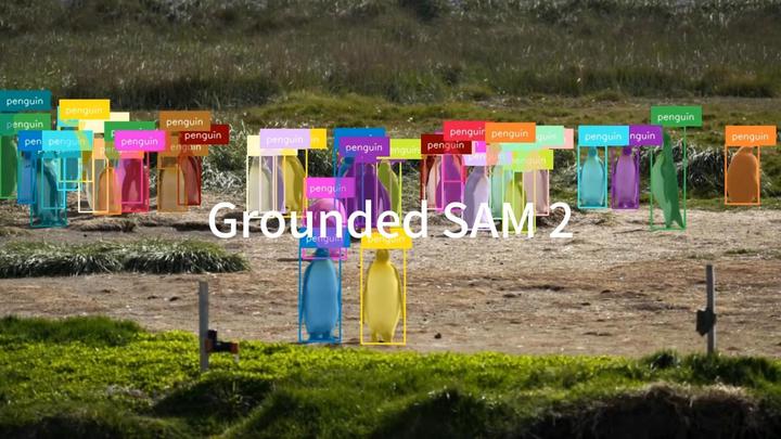 Grounded SAM 2: Ground and Track Any Object - 知乎