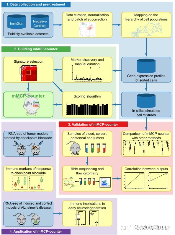 基于基因表达数据通过mMCP-counter估计小鼠样本组织浸润免疫和基质细胞组成 - 知乎
