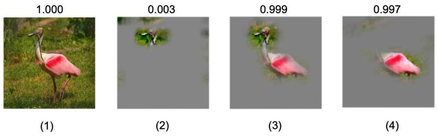 Score-CAM: Score-Weighted Visual Explanations for Convolutional Neural ...
