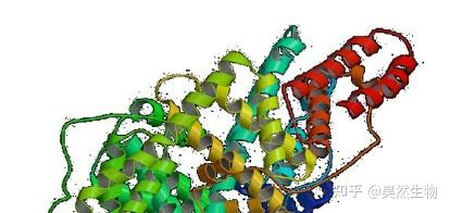 Cy5标记BSA，BSA,Cy5 labeled，BSA，Cy7.5 labeled,花青染料CY7.5标记牛血清白蛋白 - 知乎